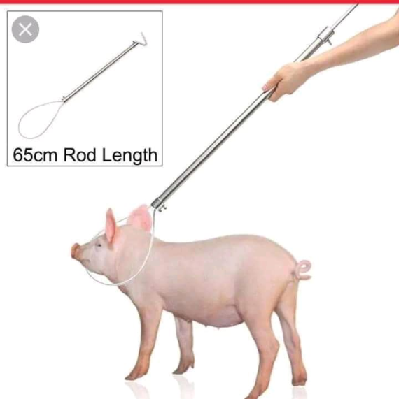 Pig farming equipment – Gammar Merchants